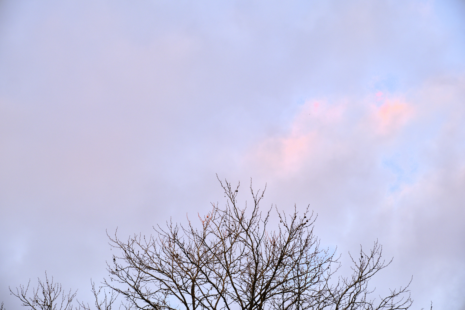 Haiku Sky